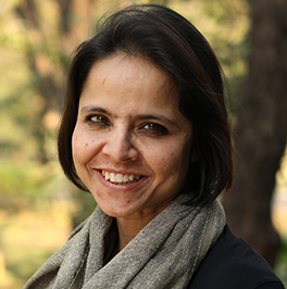 Phibonacci Solutions